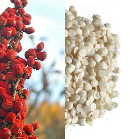 Berry Wax - natural plant-based skincare for sensitive skin