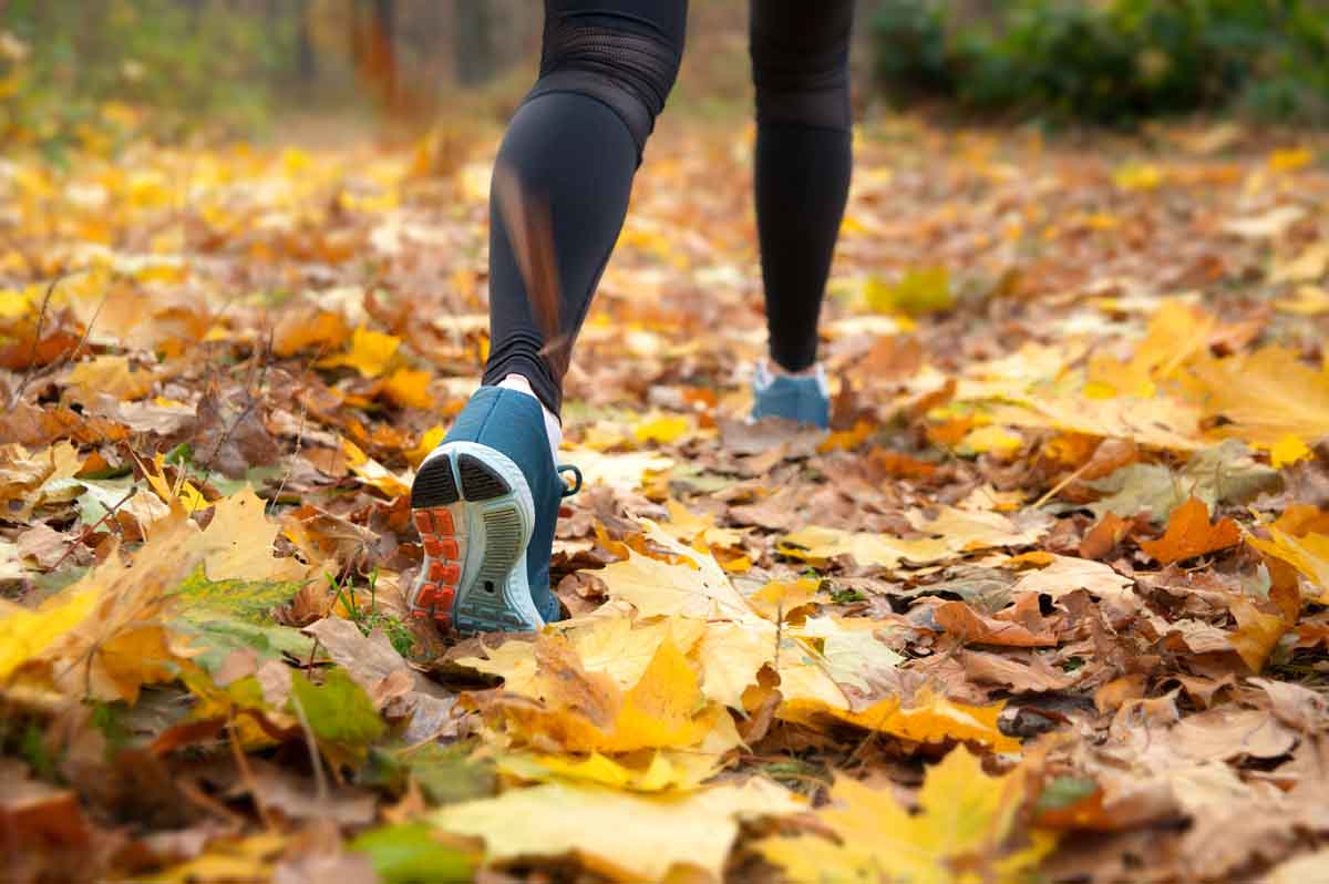 Autumn trail running - autumn walking - autumn biking - autumn riding
